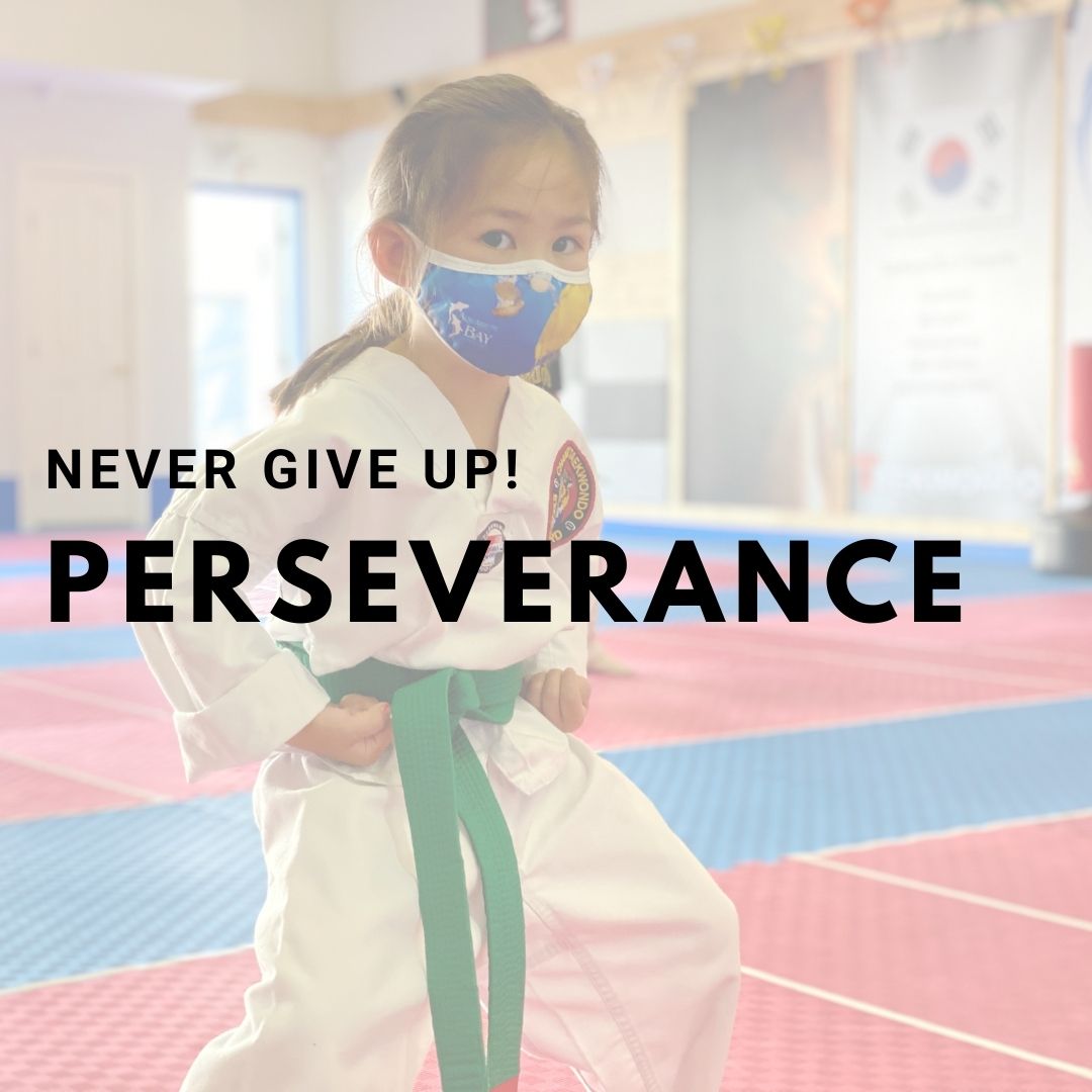 Mat Chat: Perseverance👊 – Taekwondoshawn