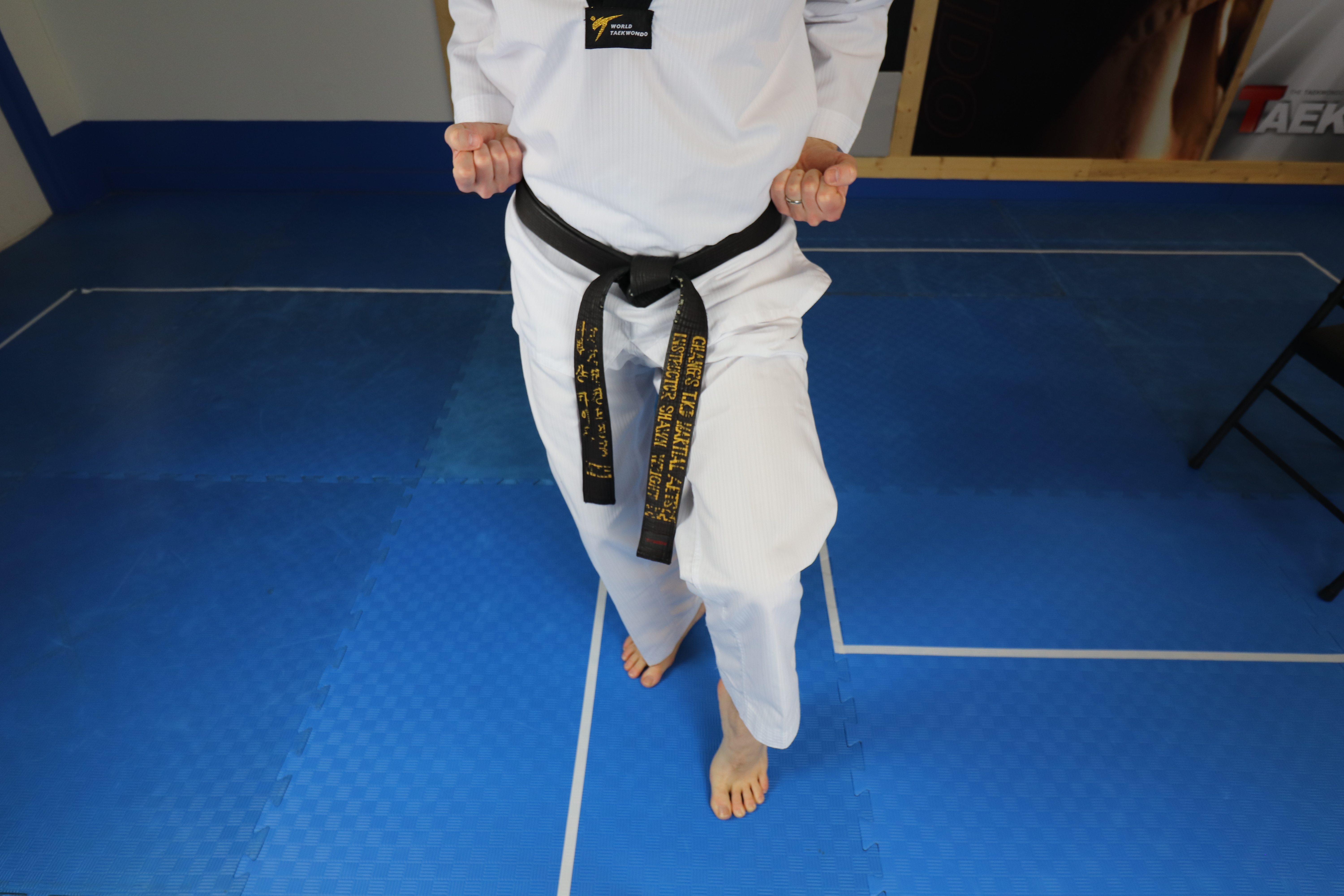 Taekwondo Stances – Taekwondoshawn